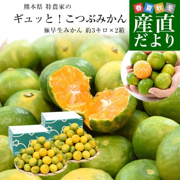 九州より発送します。商品名：極早生みかん 3S産地：熊本県内容量：約3キロ×2箱（合計約6キロ）みかんの名産地、熊本県から小粒のみかんをお届け！果汁たっぷりの極早生みかん。甘味と酸味のバランスも良く口いっぱいに甘酸っぱい爽やかな果汁が広がり...