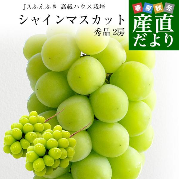 東京大田市場より発送致します。商品名：ぶどう（シャインマスカット）産地：山梨県産内容量：約1キロ（2房）贈り物に最適！！ハウス栽培なので旬を先取りしてお届け！一度食べたらほとんどの方がファンになる、とっても甘い極上の「シャインマスカット」。...
