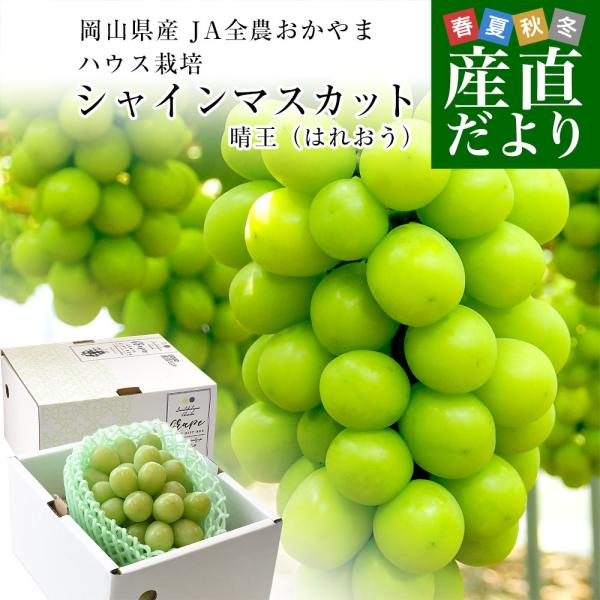 東京都大田市場より発送します。商品名：シャインマスカット「晴王」産地：岡山県内容量：約600g (1房）「晴王」は、まさに「晴れの国の王様」をイメージし、岡山県の独自基準で厳しく検査し、その名に恥じない品質のシャインマスカットにのみ与えられ...