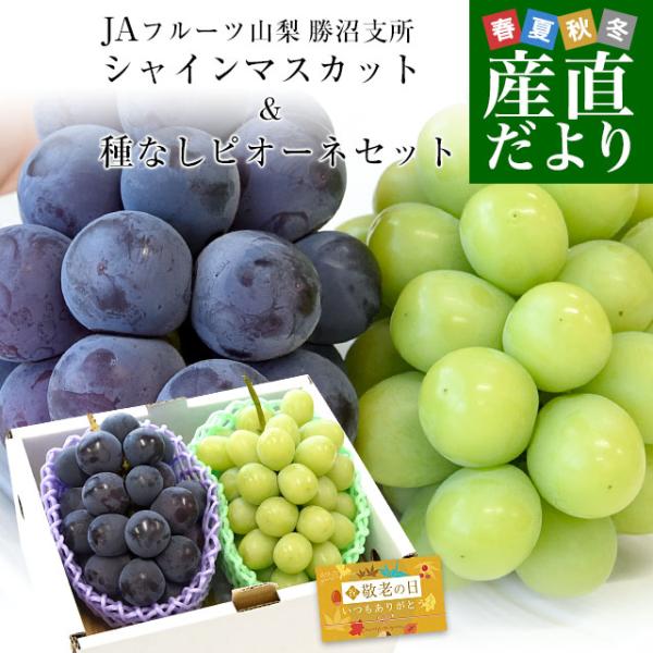 【発売日：2026年08月01日】東京都大田市場から発送します商品名：シャインマスカット約500g、種なしピオーネ約450g産地：山梨県又は長野県内容量：合計950g以上敬老の日メッセージカード付き※カードを抜いての発送はできません敬老の日...