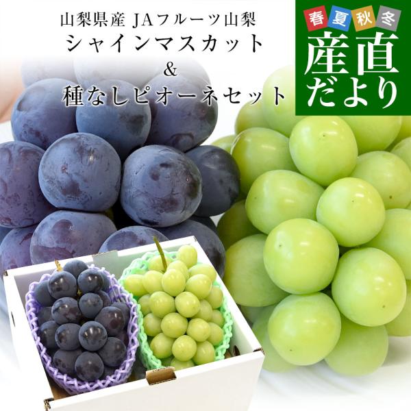 東京都大田市場から発送します商品名：ぶどう2種セット 産地：山梨県内容量：シャインマスカット、種なしピオーネ 各1房入り 合計約1キロぶどうの名産地・山梨県勝沼からとっても甘くて爽やかな丸ごと食べられる大人気ぶどう「シャインマスカット」と、...