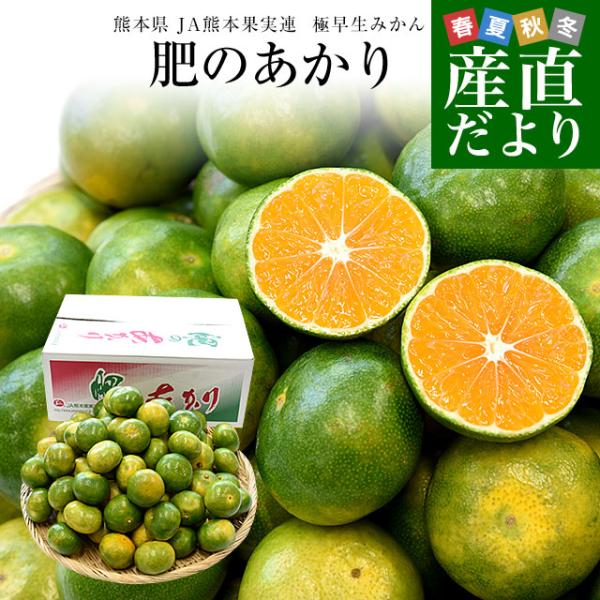 東京都大田市場より発送します。商品名：みかん（肥のあかり）産地：熊本県内容量：約5キロ（85玉前後）「肥のあかり」は、熊本県でのみで栽培される極早生みかんです。外皮は、極早生みかん特有の緑色や黄緑をしていますが、中は鮮やかなオレンジ色をして...