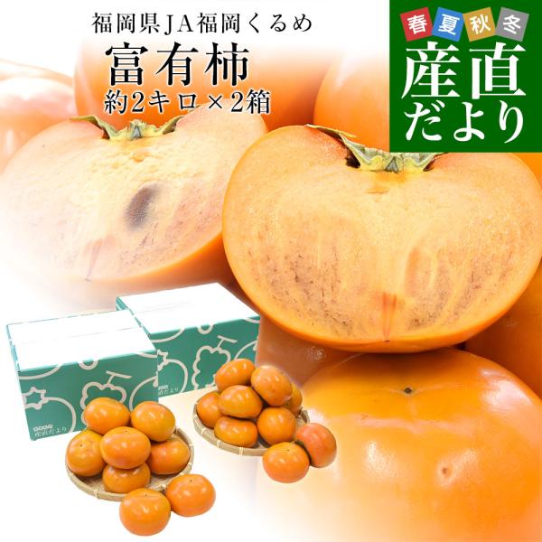 【発売日：2026年10月15日】東京大田市場より発送します。商品名：富有柿産地：福岡県内容量：約2キロ×2箱（合計16玉から20玉）福岡県は、実は日本最大級の甘柿の生産量を誇る柿の名産地。全国有数の産地として知られているのです。富有柿は、...