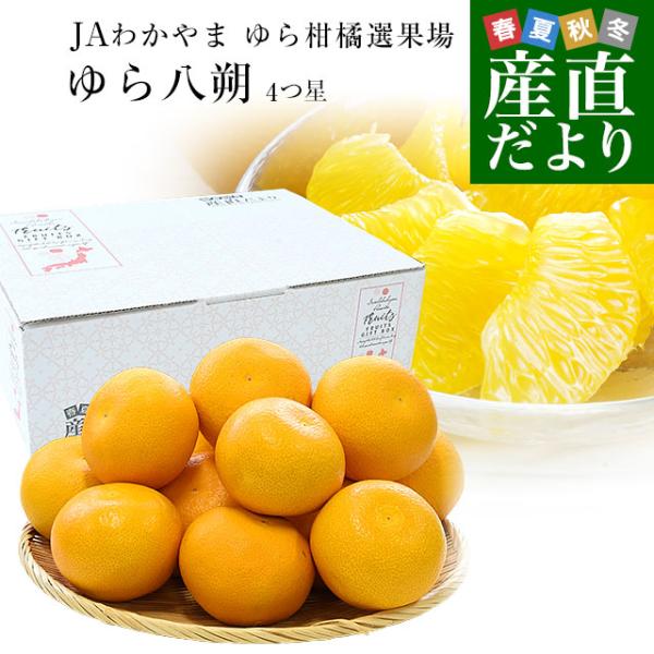 東京都大田市場より発送します。 商品名：ゆら八朔 ２LからLサイズ 等級：4つ星産地：和歌山県内容量：約3キロ　9玉から12玉 木成りのまま樹上で熟成させるゆらはっさく！樹上完熟の八朔は、樹からの栄養分と太陽光を長く受けることで、普通八朔に...