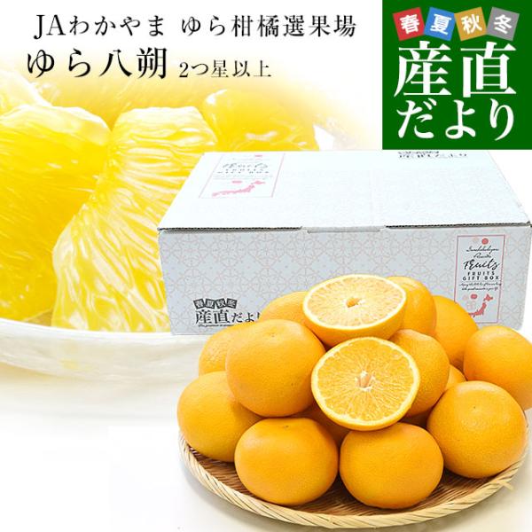 東京都大田市場より発送します。 商品名：ゆら八朔 ２LからLサイズ 等級：2つ星産地：和歌山県内容量：約3キロ　9玉から12玉木成りのまま樹上で熟成させるゆらはっさく！樹上完熟の八朔は、樹からの栄養分と太陽光を長く受けることで、普通八朔に比...