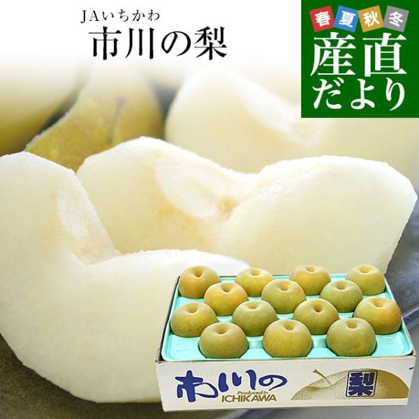 東京都大田市場より発送します商品名：市川の梨産地：千葉県内容量：約5キロ(12玉から14玉入り)千葉県市川市は、プロも認める梨の大産地。日照時間の長さと昼夜の寒暖差の大きさから梨栽培の最適地でもあります。市川の梨は、溢れ出すジューシーな果汁...