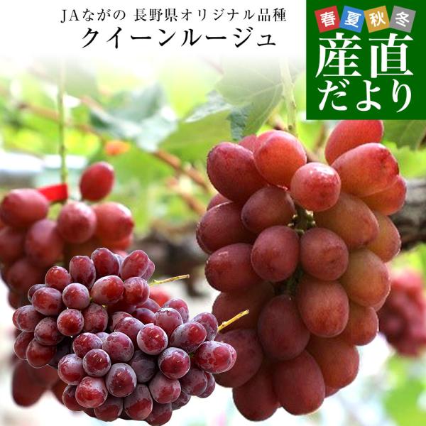 【発売日：2026年08月15日】東京都大田市場から発送します。商品名：クイーンルージュ産地：長野県内容量：約1キロ（2房）2019年に品種登録された次世代の皮ごと食べられる赤系のぶどうクイーンルージュ。2021年に初出荷を迎えたため、まだ...