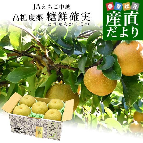 東京都大田市場より発送します。商品名：梨（幸水または豊水またはあきづき）産地：新潟県内容量：約2キロ（4玉から6玉）糖度13度以上のとっても甘いブランド梨「糖鮮確実（とうせんかくじつ）」。1玉1玉、光センサーで糖度や熟度を測定しているため、...