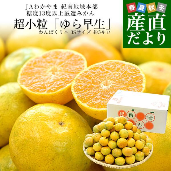 【発売日：2026年09月15日】東京都大田市場より発送いたします。商品名：ゆら早生内容量：約5キロ(80玉前後)原産地：和歌山県甘みの強さと、酸味が相まった味わい。そしてじょうのう膜が薄く、皮が口に残らない。このおいしさで、人気を博す「ゆ...