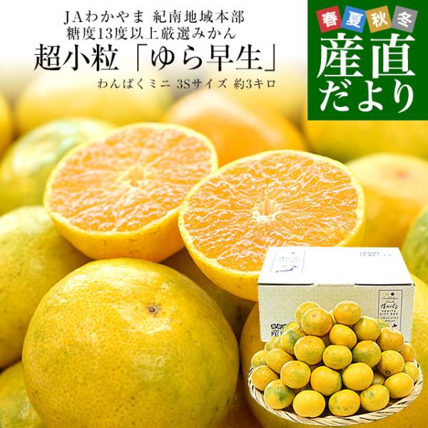 【発売日：2026年09月15日】東京都大田市場より発送いたします。商品名：ゆら早生内容量：約3キロ(50玉前後)原産地：和歌山県甘みの強さと、酸味が相まった味わい。そしてじょうのう膜が薄く、皮が口に残らない。このおいしさで、人気を博す「ゆ...