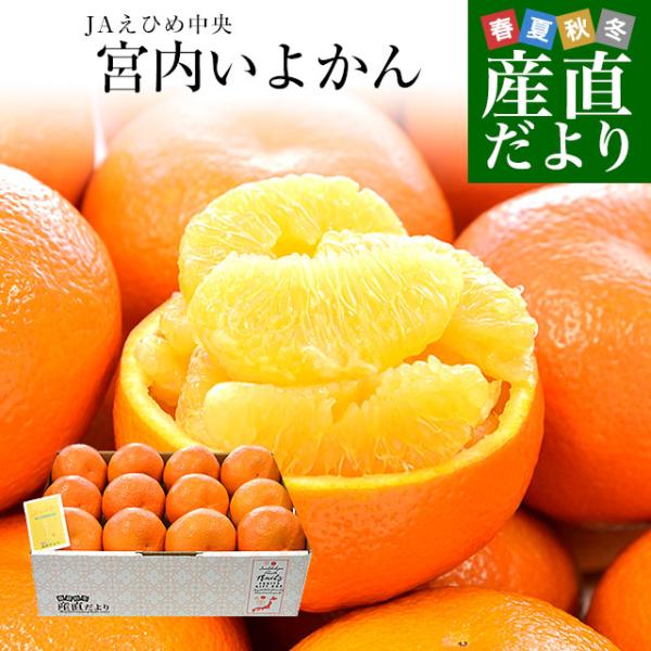 東京都大田市場より直送します。商品名：宮内いよかん 3Lから2Lサイズ産地：愛媛県内容量：約3キロ （10玉から12玉）爽やかな甘みと、プリプリとした果肉が楽しめる「宮内いよかん」。大粒で味も香りも豊か。皮を剥いた途端、爽やかな香りが広がり...