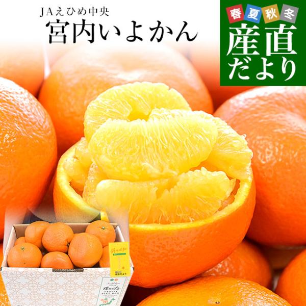 東京都大田市場より発送します。商品名：宮内いよかん原産地：愛媛県内容量：約5キロ(16玉前後)大ボリュームでお届け！爽やかな甘みと、プリプリとした果肉が楽しめる「宮内いよかん」。大粒で味も香りも豊か。皮を剥いた途端、爽やかな香りが広がります...