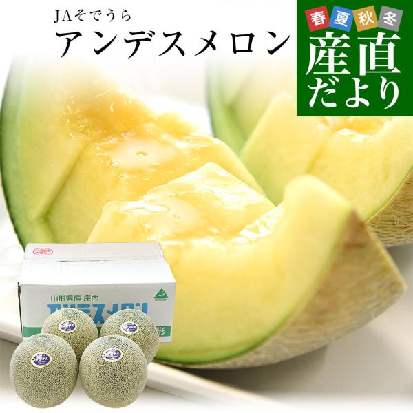 東京都大田市場より発送します。商品名：アンデスメロン産地：山形県内容量：約5キロ（4玉入り）みずみずしく濃厚な甘み！クセのない抜群の美味しさが自慢のアンデスメロンです。山形県庄内「そでうら地区」で、大地と太陽の恵みを存分に受け育ちました。水...