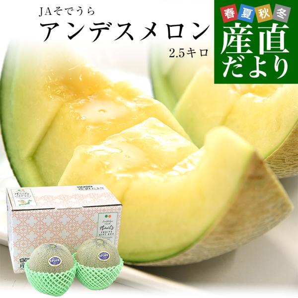 東京都大田市場より発送します。商品名：アンデスメロン産地：山形県内容量：約2.5キロ（2玉入り）みずみずしく濃厚な甘み！クセのない抜群の美味しさが自慢のアンデスメロンです。山形県庄内「そでうら地区」で、大地と太陽の恵みを存分に受け育ちました...