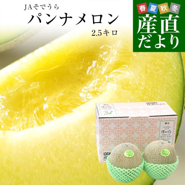 東京都大田市場より発送します。 商品名：パンナメロン産地：山形県内容量：約2.5キロ（2玉入り） 高糖度で日持ちの良い、緻密な果肉のパンナメロン！上品な甘みが自慢のメロンです。山形県庄内「そでうら地区」で、大地と太陽の恵みを存分に受け育ちま...