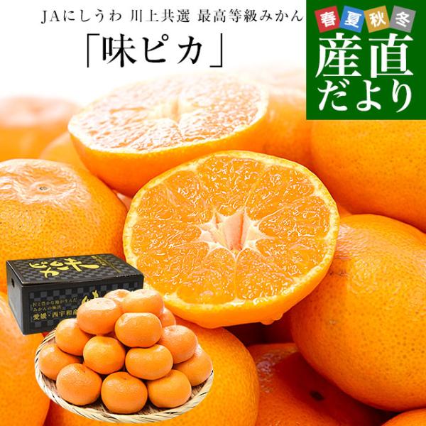 東京都大田市場より発送いたします。商品名：味ピカみかん原産地：愛媛県内容量：約2.5キロ圧倒的なブランド力を持つみかんの名産地、JAにしうわ。そのJAにしうわの中でも御三家と呼ばれ、100年もの歴史をもつ共選、川上共選の最上位等級みかん「味...