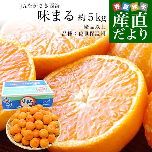 東京都大田市場より発送いたします。商品名：味まる（品種：佐世保温州）原産地：長崎県内容量：約5キロ長崎県産　JAながさき西海の厳選みかん「味まる」海からのミネラルも豊富、糖度が高く味にコクと深み！そして、徹底した栽培努力から育まれたみかんで...