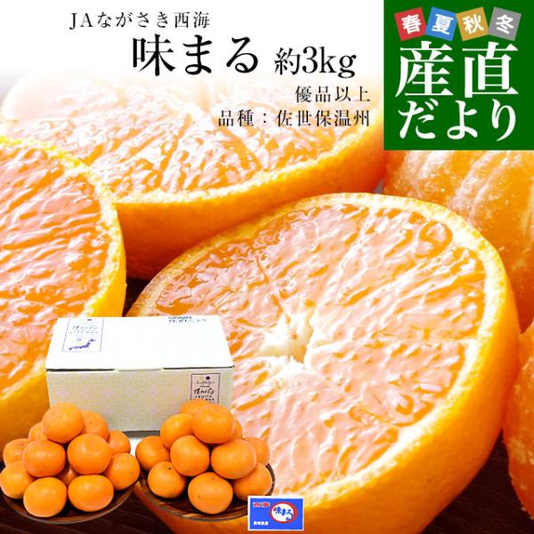 東京都大田市場より発送いたします。商品名：味まる（品種：佐世保温州）原産地：長崎県内容量：約3キロ長崎県産　JAながさき西海の厳選みかん「味まる」海からのミネラルも豊富、糖度が高く味にコクと深み！そして、徹底した栽培努力から育まれたみかんで...