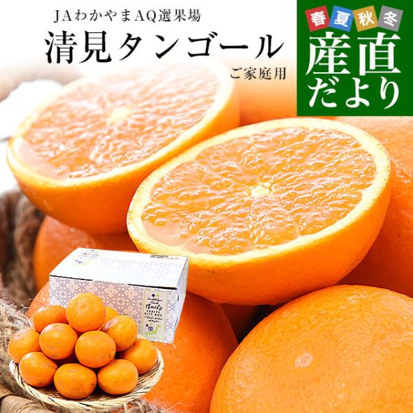 東京都大田市場から発送します商品名：清見タンゴール原産地：和歌山県内容量：約3キロ国内初のタンゴール種の品種として誕生した、清見タンゴール。皮はオレンジと似ていますが、果肉はとってもジューシー！柔らかいゼリーのような食感が特徴です。甘みとほ...