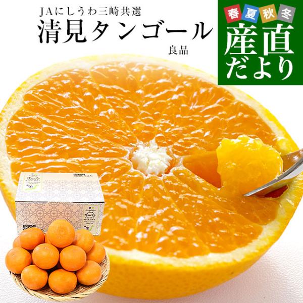 東京都大田市場から発送します。商品名： 清見タンゴール 良品内容量：約3キロ（9玉から16玉前後 ）　3LからLサイズ産地：愛媛県国内初のタンゴール種の品種として誕生しました。皮はオレンジの感じと似ていますが、果肉は、種が少なくとってもジュ...