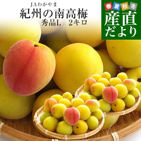 東京都大田市場より発送します。商品名：梅（南高梅）内容量：約2キロ（40玉から60玉前後）産地：和歌山県南高梅の本場、和歌山県産の南高梅をお届け！梅干の他、梅酒、梅ジュース、梅サワー、梅ジャム作りも人気です。お得な小分けサイズ約2キロでお届...