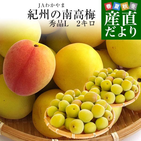 東京都大田市場より発送します。商品名：梅（南高梅）内容量：約2キロ（80玉から100玉前後）産地：和歌山県南高梅の本場、和歌山県産の南高梅をお届け！梅干の他、梅酒、梅ジュース、梅サワー、梅ジャム作りも人気です。お得な小分けサイズ約2キロでお...