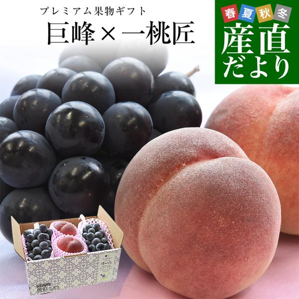 東京都大田市場より発送いたします。商品名：巨峰＆一桃匠原産地：桃：山梨県産/ぶどう：福岡県産内容量：巨峰2房(約1キロ)＆一桃匠2玉(約600g)贅沢なフルーツセットをお届けします！ハウス栽培の巨峰は、ツヤのある1粒１粒に、芳醇な香りと、ジ...