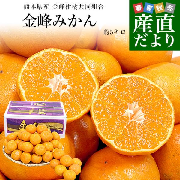 東京都大田市場より発送します。商品名：金峰みかん産地：熊本県内容量：約5キロ(50玉から60玉前後)熊本の暖かな地で育まれた、甘さが自慢の極上みかん「金峰みかん」！太陽をたっぷり浴びた果実は、甘みがぎゅっと凝縮した濃い味わい。どのみかんも高...