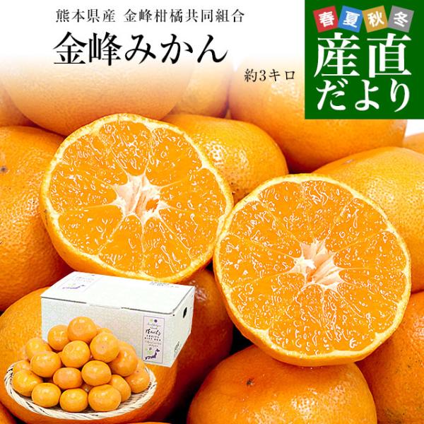 東京都大田市場より発送します。商品名：金峰みかん産地：熊本県内容量：約3キロ(30玉から36玉前後)熊本の暖かな地で育まれた、甘さが自慢の極上みかん「金峰みかん」！太陽をたっぷり浴びた果実は、甘みがぎゅっと凝縮した濃い味わい。どのみかんも高...