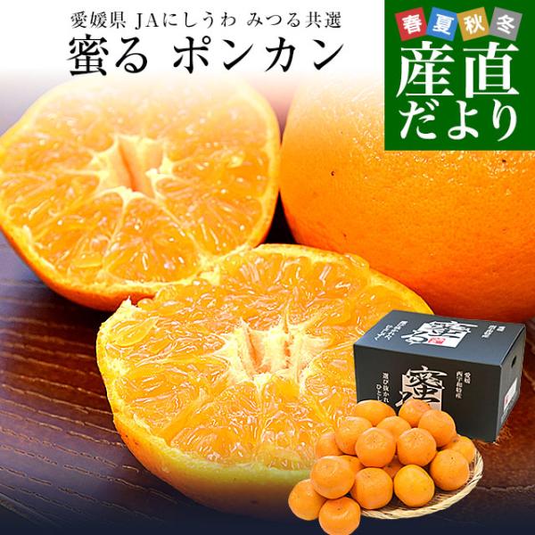 東京都大田市場より発送いたします。商品名：蜜る ポンカン産地：愛媛県内容量：約3キロ（16玉から24玉前後）愛媛県JAにしうわみつる共選の特別なポンカン「蜜る」。潮風と太陽の中で育つ、生産者の努力が詰まった極上のポンカンです。ぷりっとした果...