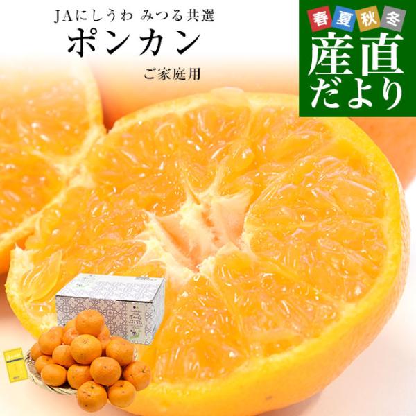 東京都大田市場より発送いたします。商品名：ポンカン ご家庭用産地：愛媛県内容量：約3キロ（16玉から24玉前後）愛媛県JAにしうわみつる共選のご家庭用ポンカン！外皮にスレキズはありますが、味は抜群！潮風と太陽の中で育った絶品のポンカンです。...