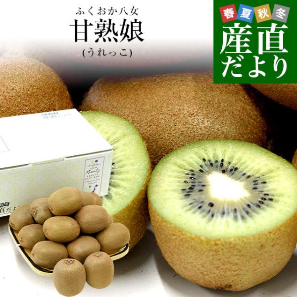 東京都大田市場より発送いたします。商品名：甘熟娘原産地：福岡県内容量：約1.8キロ（5玉から7玉入り×2袋）国産最高級キウイ「甘熟娘（うれっこ）」をお届けいたします！果汁たっぷりのジューシーさで、種のプチプチ感も楽しめるグリーンキウイ。「甘...
