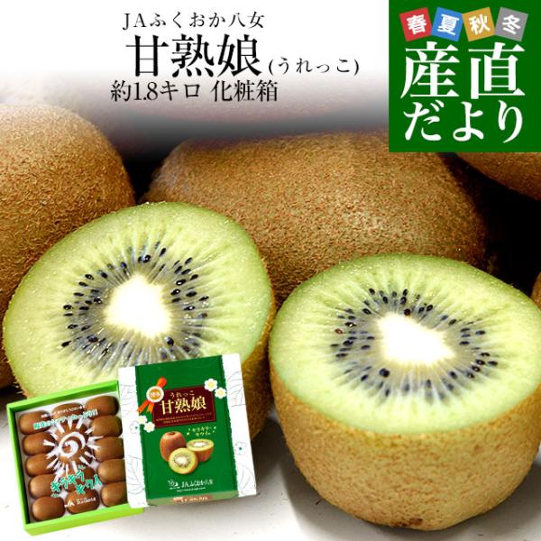 東京都大田市場より発送いたします。商品名：甘熟娘原産地：福岡県内容量：約1.8キロ化粧箱(15玉入り)国産最高級キウイ「甘熟娘(うれっこ)」をお届けいたします！果汁たっぷりのジューシーさで、種のプチプチ感も楽しめるグリーンキウイ。「甘熟娘」...