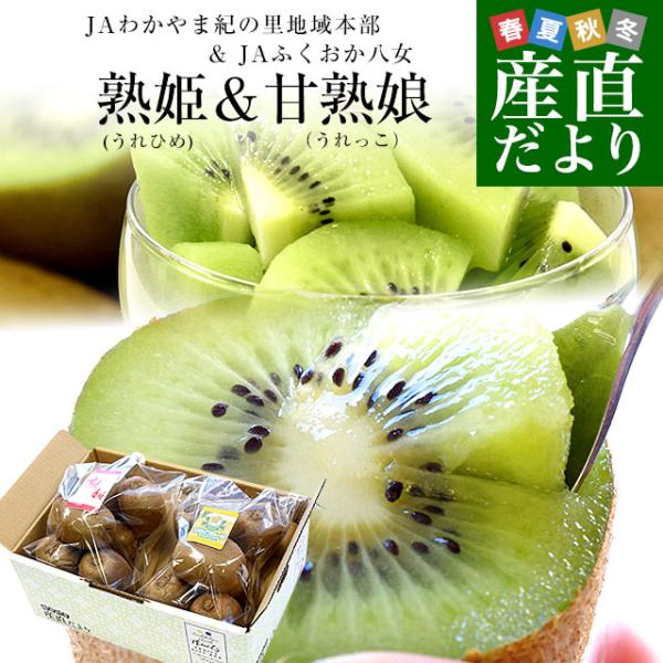 東京都大田市場より発送いたします。商品名：キウイセット(熟姫+甘熟娘)原産地：福岡県、和歌山県内容量：約1.8キロ(5玉から7玉×2袋)国内産最高級のキウイフルーツのセット！糖度13.5度以上の和歌山県「熟姫(うれひめ)」と糖度15度以上の...