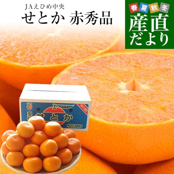 東京大田市場から発送します 商品名：せとか　赤秀品内容量：約5キロ産地：愛媛県 柑橘の味が変わった！ここまで凄いオレンジがあったのかと市場関係者もびっくりしたものです。「清見」と「アンコール」を掛け合せたものに晩生の高糖柑橘「マーコット」を...