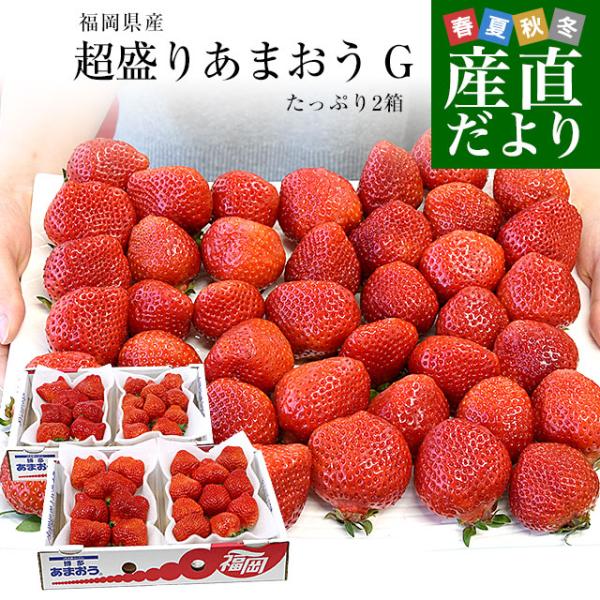 東京都大田市場より直送します。商品名：あまおう原産地：福岡県内容量：合計1キロ以上(約270g×4入り)今回お届けするのは、味はとても良いけれど、形のいびつなものも含まれるあまおうG規格。いちごは、外側の皮に近い部分が特に甘いと言われていま...