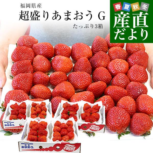 東京都大田市場より直送します。商品名：あまおう原産地：福岡県内容量：合計1.6キロ以上(約270g×6入り)今回お届けするのは、味はとても良いけれど、形のいびつなものも含まれるあまおうG規格。いちごは、外側の皮に近い部分が特に甘いと言われて...