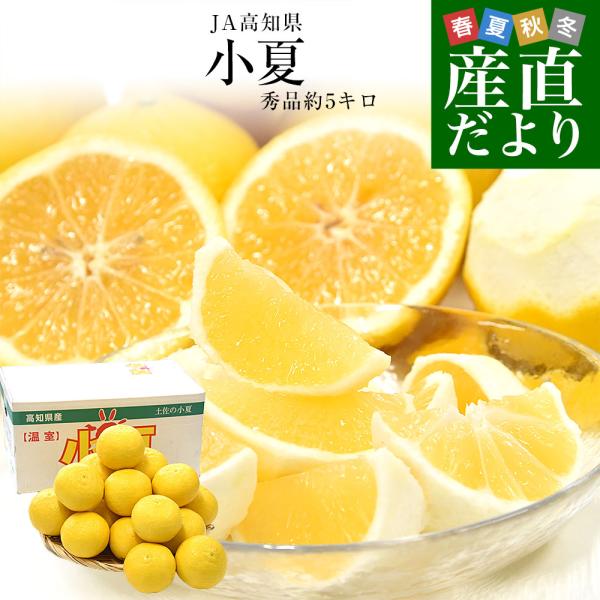 東京都大田市場から発送します商品名：小夏原産地：高知県内容量：約5キロ高知県の温暖な気候を活かして栽培される小夏は、黄色の外皮が鮮やかに映える、初夏を代表する柑橘です！実はこの柑橘、白いわたまで美味しいのが最大の特徴。外皮をむく際、内側の白...