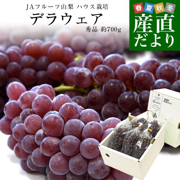 東京都大田市場より発送します。名称：ハウス栽培デラウェア産地：山梨県内容量：約700g（5房から6房）種なしぶどうの定番として長く愛され続けているデラウェア。その歴史は、明治時代までさかのぼる程のロングセラーのぶどうです。小粒ではありますが...