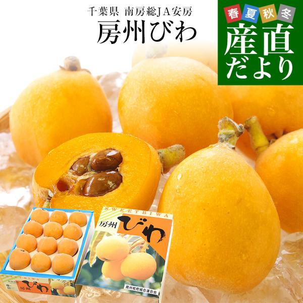 東京都大田市場より発送します。商品名：房州びわ原産地：千葉県内容量：約1キロ（3Lから2Lサイズ 12粒）暑くなってきた初夏にぴったりの味覚！酸味が少なく程よい甘味！みずみずしさがたまらない、房州びわをお届けいたします！大粒の房州びわは、明...