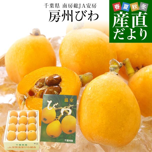 東京都大田市場より発送します。商品名：房州びわ原産地：千葉県内容量：約1.2キロ（4Lサイズ 12粒）暑くなってきた初夏にぴったりの味覚！酸味が少なく程よい甘味！みずみずしさがたまらない、房州びわをお届けいたします！大粒の房州びわは、明治4...