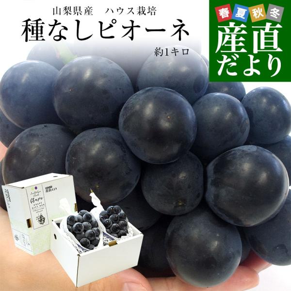 東京都大田市場より発送いたします。商品名：種なしピオーネ原産地：山梨県内容量：約1キロ（500g×2房）夏の贈り物にもぴったり！大房「ピオーネ」をたっぷり2房お届けします。「ピオーネ」は、「巨峰」と「カノンホールマスカット」を交配して生み出...