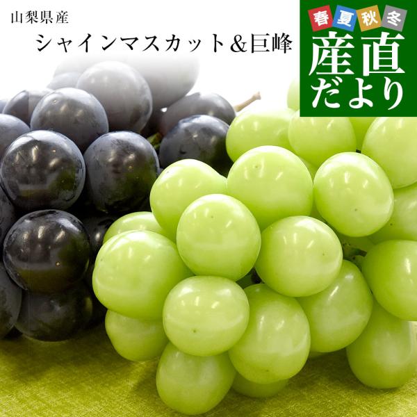 東京都大田市場より発送いたします。商品名：シャインマスカット＆巨峰原産地：山梨県内容量：合計約1キロ（500g×2房）一足先に旬を楽しめる、夏の高級ハウス栽培ぶどうセット！みずみずしく爽やかな甘さで、圧倒的人気を博す「シャインマスカット」！...