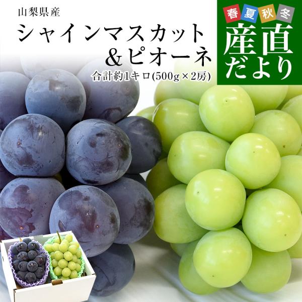 東京都大田市場より発送いたします。商品名：シャインマスカット&amp;ピオーネ原産地：山梨県内容量：合計約1キロ(500g×2房)一足先に旬を楽しめる、夏の高級ハウス栽培ぶどうセット！みずみずしく爽やかな甘さで、圧倒的人気を博す「シャインマ...