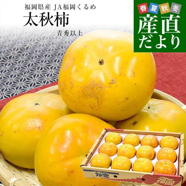 東京大田市場より発送します。 商品名：太秋柿 青秀品以上原産地：福岡県内容量：約4.5キロ(12玉から16玉)迫力満点の「太秋柿」！大きさだけでなく味わいも絶品で、サクサク食感の果肉をかじると、じゅわっと甘くジューシーな果汁が溢れ出します。...