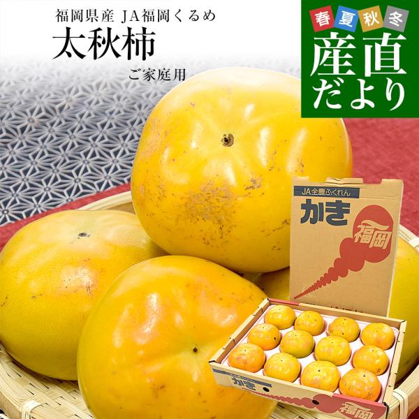 東京大田市場より発送します。商品名：太秋柿 ご家庭用原産地：福岡県内容量：約4.5キロ(12玉から16玉)迫力満点の「太秋柿」！大きさだけでなく味わいも絶品で、サクサク食感の果肉をかじると、じゅわっと甘くジューシーな果汁が溢れ出します。外観...