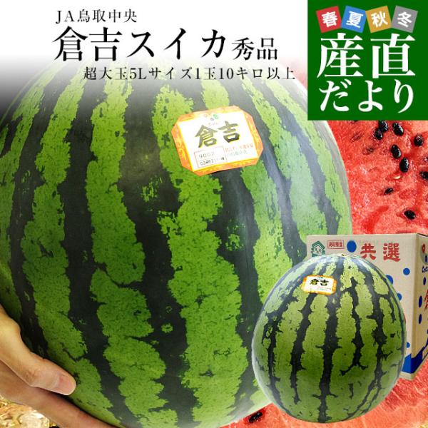 東京都大田市場から発送いたします。商品名：すいか産地：鳥取県内容量：10キロ以上　5Lサイズ　1玉入り衝撃の1玉10キロ以上！！甘くて美味しい特大スイカ！鳥取県の倉吉は、スイカの名産地。自然環境に恵まれた好条件の元、極上のスイカを育てます。...