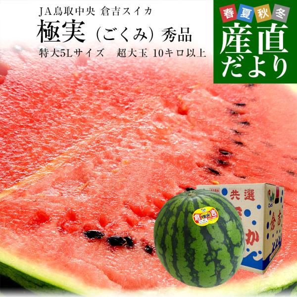 東京都大田市場から発送いたします。名称：スイカ（極実）産地：鳥取県内容量：5Lサイズ（10キロ以上）衝撃の超大玉サイズ1玉10キロ以上！！　食べ応えも満点です。 鳥取県倉吉市は、県内では一番の西瓜生産地域、自然環境に恵まれた好条件の下、太陽...