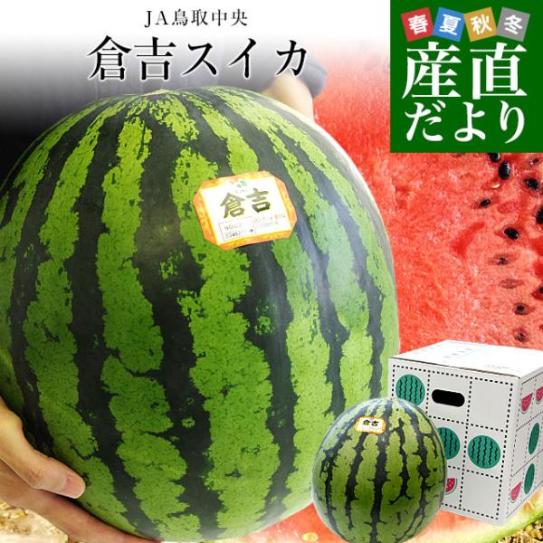 東京都大田市場から発送いたします。商品名：すいか産地：鳥取県内容量：9キロ以上　4Lサイズ　1玉入り鳥取県の倉吉は、スイカの名産地。自然環境に恵まれた好条件の元、極上のスイカを育てます。とても甘みが強く、シャリ感がしっかりしているので、全国...