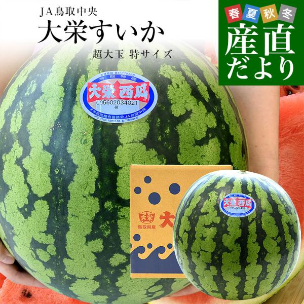 東京都大田市場より発送いたします。商品名：すいか原産地：鳥取県内容量：1玉（11キロ以上）鳥取県の北栄町（旧大栄町）で栽培されている「大栄すいか」。抜群の甘さとシャリ感で、味の評価が高く昔からファンも多い、言わずと知れた大人気のスイカです。...